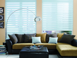 Allure Transitional Shades – All Window Artisan
