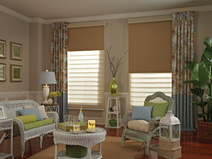 Allure Transitional Shades – All Window Artisan
