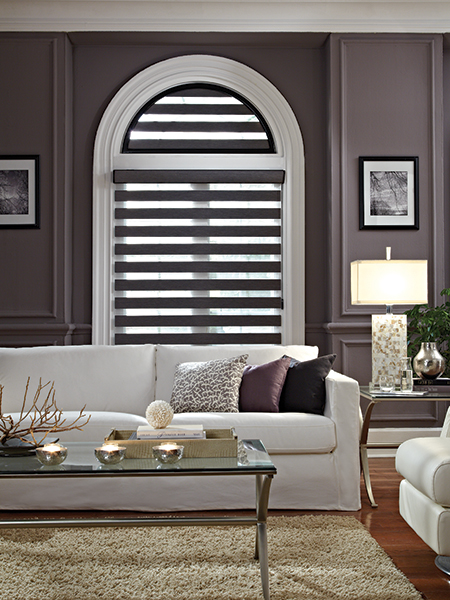 Allure Transitional Shades – All Window Artisan